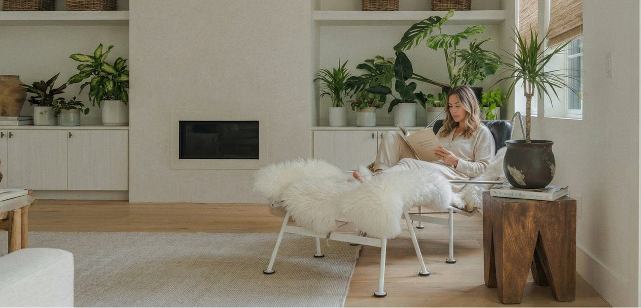 Plantwell | Self-Watering Planters & Indoor Plants for Modern Homes