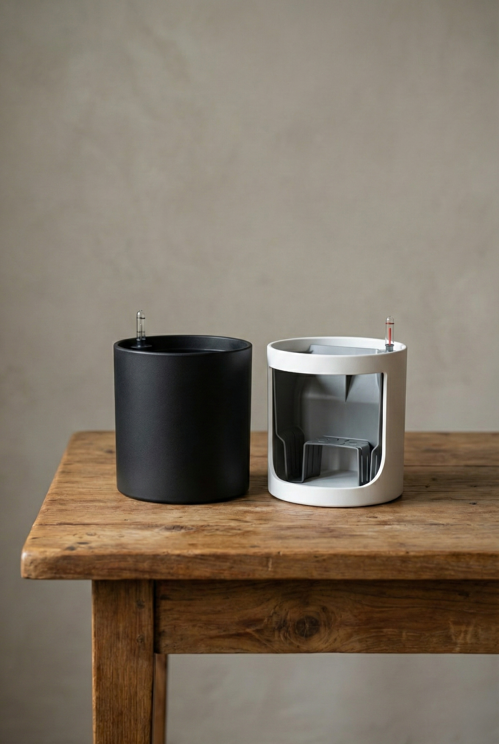 Plantwell | Self-Watering Planters & Indoor Plants for Modern Homes