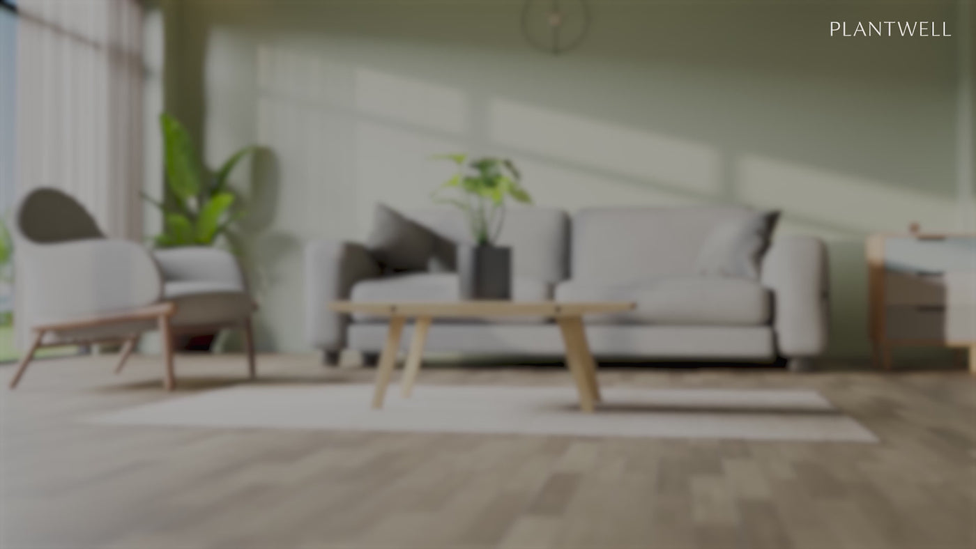 Plantwell | Self-Watering Planters & Indoor Plants for Modern Homes
