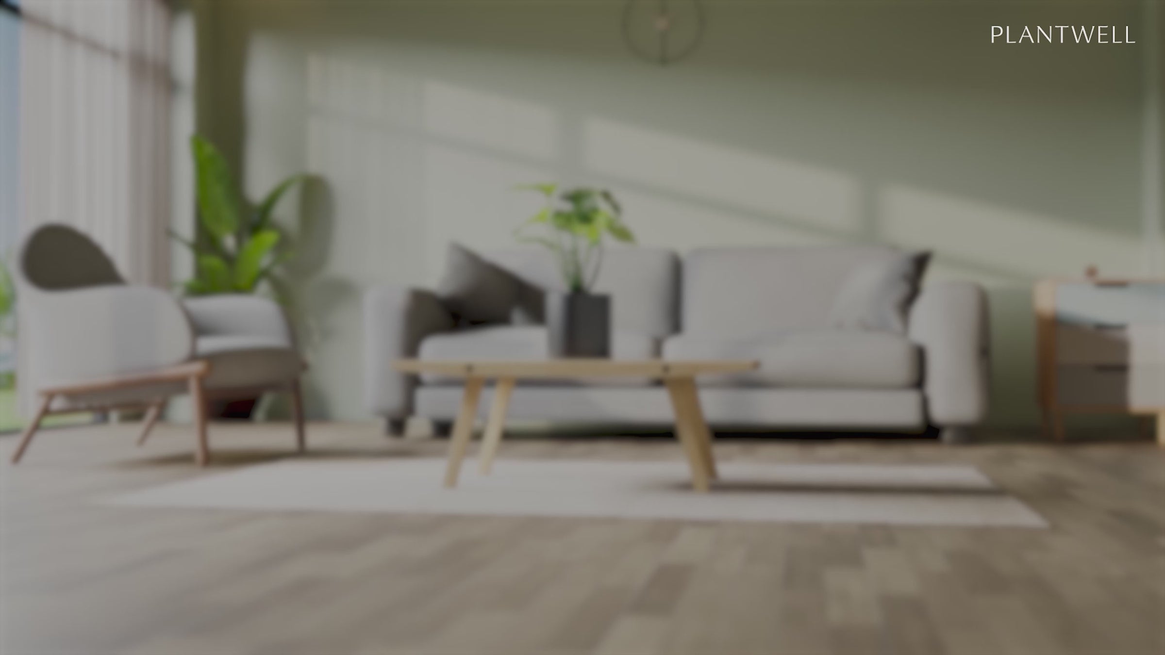 Plantwell | Self-Watering Planters & Indoor Plants for Modern Homes